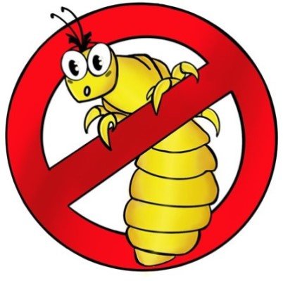 LICE BUSTER - Updated December 2025 - 72 Blair Road, Cambridge, Ontario ...