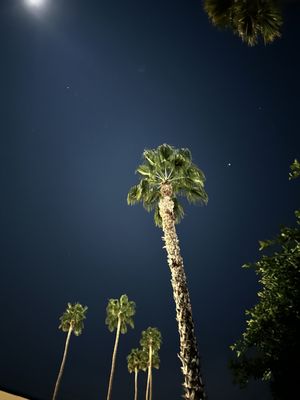 CCBC RESORT HOTEL - Updated July 2024 - 92 Photos & 135 Reviews - 68300 ...