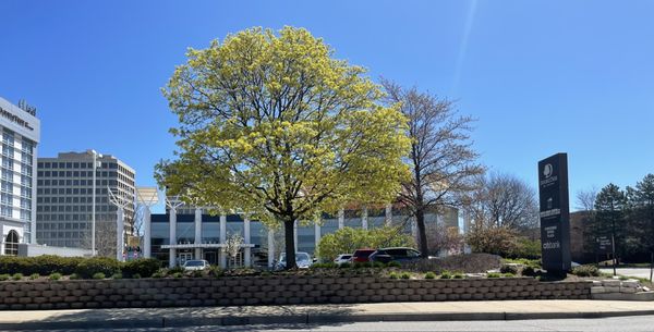 NORTH SHORE CENTER FOR THE PERFORMING ARTS - Updated November 2024 - 53 ...