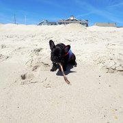 LAVALLETTE BEACH AND BOARDWALK - 49 Photos & 12 Reviews - Lavallette ...