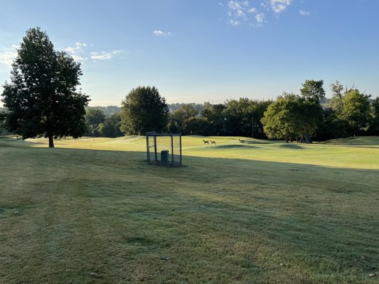 VINNYLINKS GOLF COURSE - Updated July 2025 - 92 Photos & 14 Reviews ...