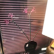 CONSIGNMENT CLASSICS - 447 Photos & 65 Reviews - Used, Vintage ...