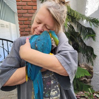 CALIFORNIA BACKYARD BIRDS, INC - Updated December 2025 - 14 Photos & 40 ...