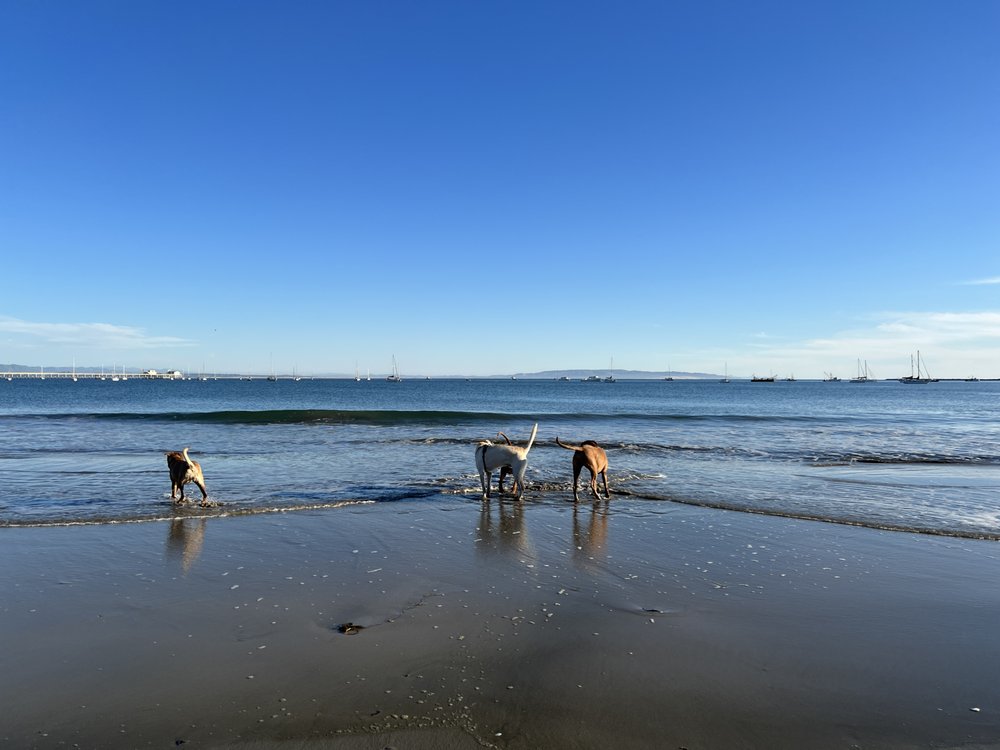 OLD PORT BEACH - Updated September 2024 - 34 Photos & 13 Reviews - 6520 ...