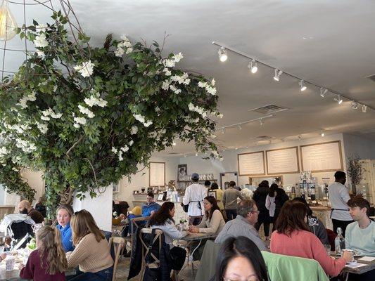 MAMAN - 97 Photos & 59 Reviews - 43 Hulfish St, Princeton, New Jersey ...