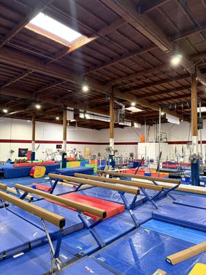 GYMTOWNE GYMNASTICS SSF - Updated May 2026 - 38 Photos & 101 Reviews ...
