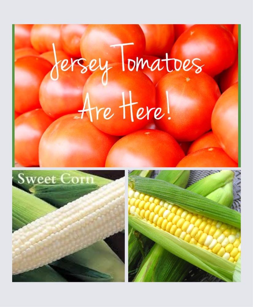 FAIRFIELD FARMS & GREENHOUSES - Updated December 2025 - 20 Photos & 19 ...