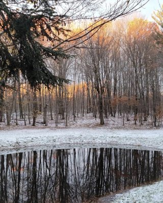 ROUNDTREE PARK - Updated December 2025 - 28 Photos - 3411 Casilear Rd ...