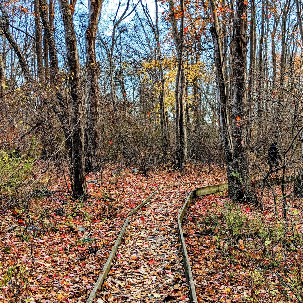 Newport RI - Last Updated December 2025 - Yelp