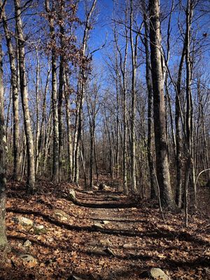 DOUGLAS STATE FOREST - Updated January 2025 - 49 Photos & 19 Reviews ...