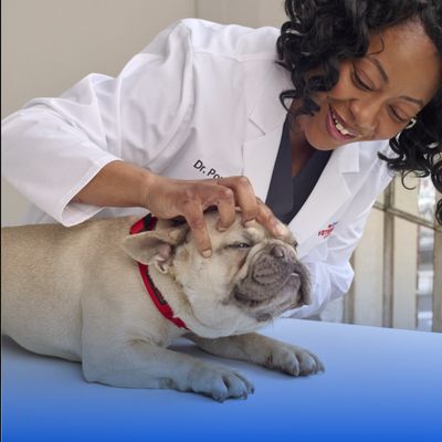 PETSMART VETERINARY SERVICES - Updated May 2026 - 46 Photos - 6005 Oxon ...