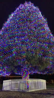 CALIFORNIA BAPTIST UNIVERSITY - 70 Photos & 83 Reviews - 8432 Magnolia ...