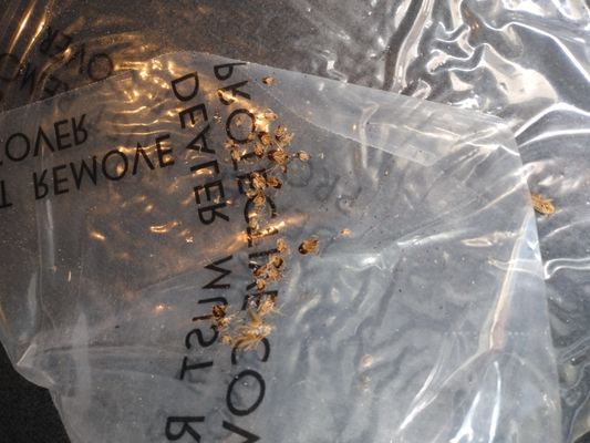 EVO MOTORS - Updated October 2025 - 92 Photos & 127 Reviews - 11809 U S ...