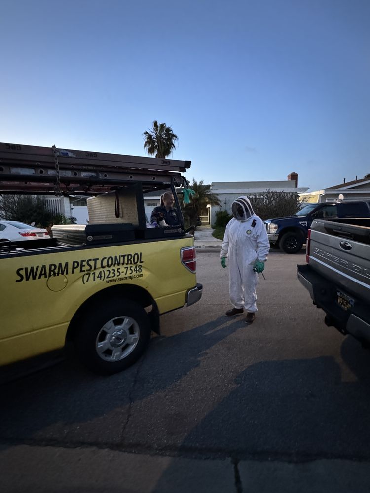 SWARM PEST CONTROL - Updated December 2025 - 86 Photos & 139 Reviews ...