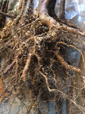 COLD STREAM FARM - Updated June 2024 - 13 Photos - 8585 N Stephens Rd ...