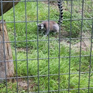 TWO TAILS RANCH - 99 Photos & 80 Reviews - 18655 NE 81st St, Williston ...