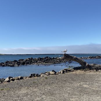 BARVIEW JETTY CAMPGROUND - 66 Photos & 51 Reviews - 8000 Cedar Ave ...