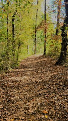 SNEADS FARM - Updated October 2025 - 91 Photos & 41 Reviews - 18294 ...