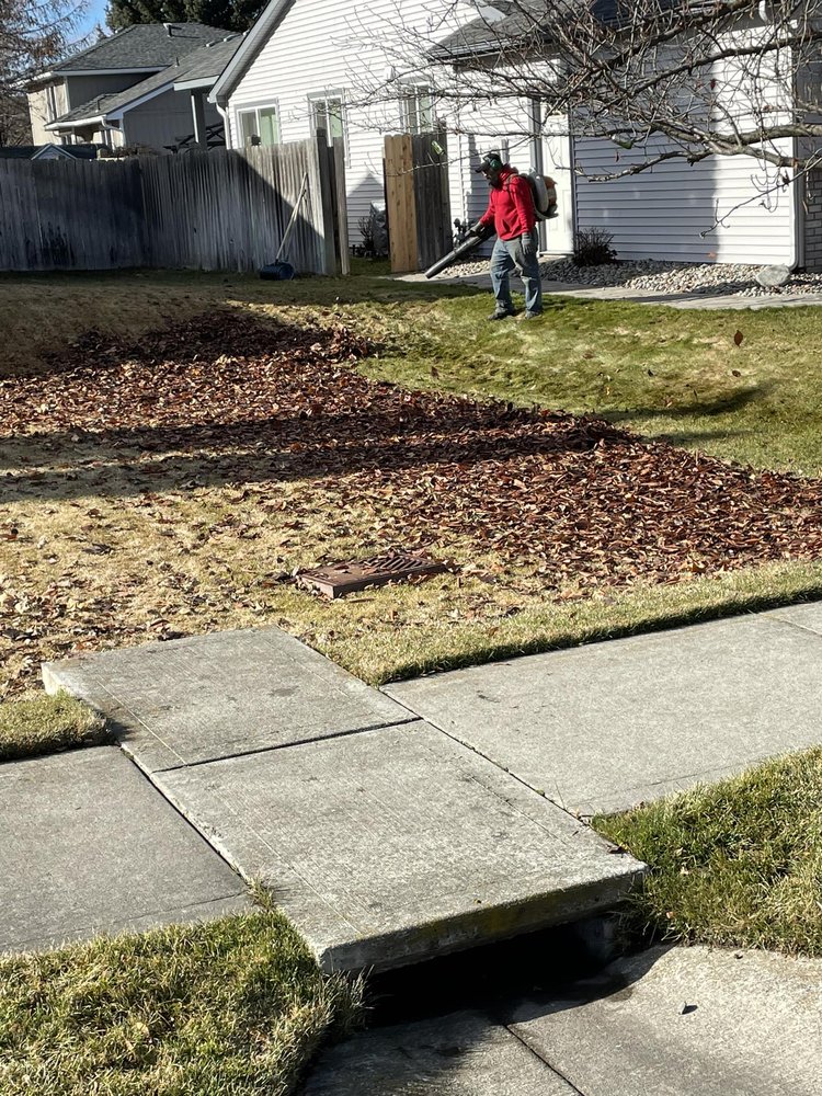 CUTTING EDGE LANDSCAPING - Updated January 2026 - 10 Photos - 1020 N ...