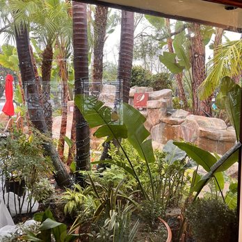 DARYA RESTAURANT - 744 Photos & 936 Reviews - 3800 S Plaza Dr, Santa ...