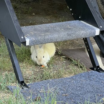 BONITA RANCH CAMPGROUND & RV SITES - Updated December 2025 - 204 Photos ...