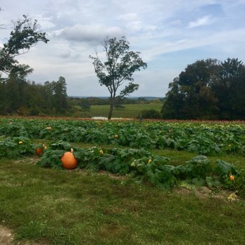 DEVON POINT FARM - Updated November 2024 - 38 Photos & 10 Reviews - 54 ...