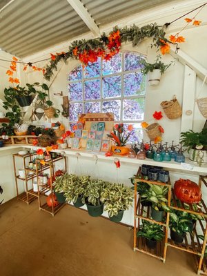 KULA COUNTRY FARMS - Updated August 2024 - 921 Photos & 125 Reviews ...