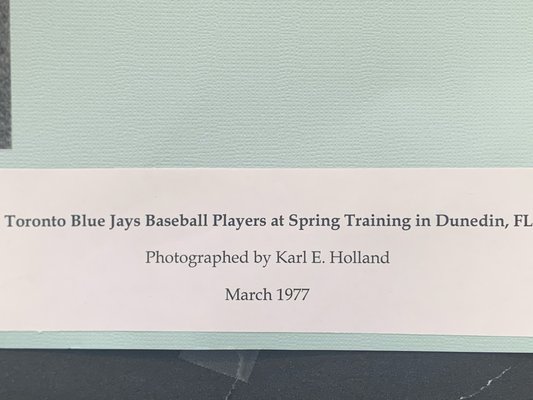 DUNEDIN PUBLIC LIBRARY - Updated September 2025 - 18 Photos & 16 ...