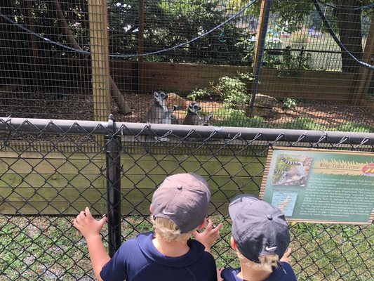 NATURAL BRIDGE ZOO - 66 Photos & 62 Reviews - 5784 South Lee Hwy ...