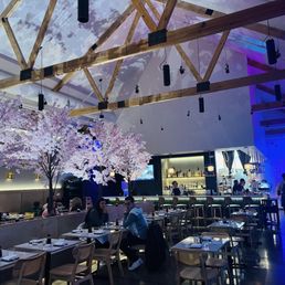 SENSO - Updated July 2025 - 32 Photos & 23 Reviews - 3 N White St ...