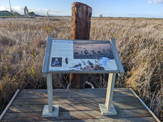 ALVISO MARINA COUNTY PARK - 1470 Photos & 206 Reviews - 1195 Hope St ...