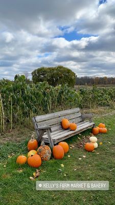 KELLY’S FARM MARKET - Updated October 2024 - 71 Photos & 36 Reviews ...