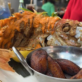 KUBA CABANA - Updated November 2024 - 709 Photos & 384 Reviews - 3450 ...