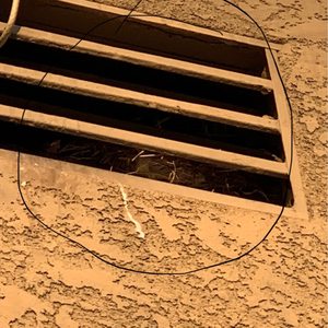 PACIFIC COAST TERMITE - Updated April 2024 - 29 Photos & 233 Reviews ...