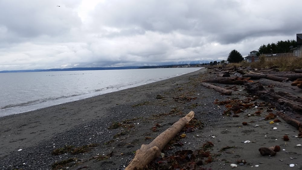 LIGHTHOUSE MANOR - Updated July 2025 - 19 Photos - 561 3 Crabs Rd ...