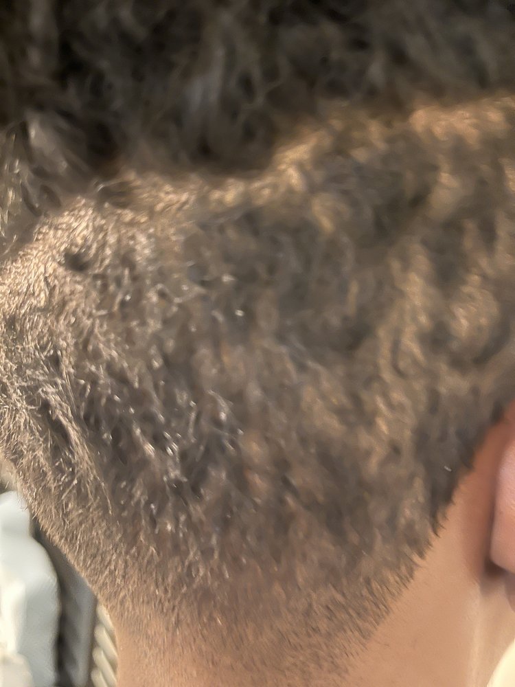 GRANDMASTER CUTZ - Updated August 2025 - 15 Photos & 11 Reviews - 531 W ...