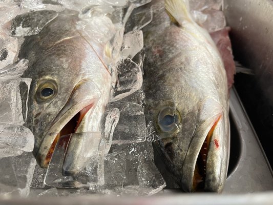 TBT BUTCHER SHOP AND SEAFOOD MARKET - Updated August 2025 - 12 Photos ...