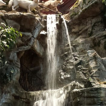 BASS PRO SHOPS - Updated January 2026 - 77 Photos & 54 Reviews - 6425 ...