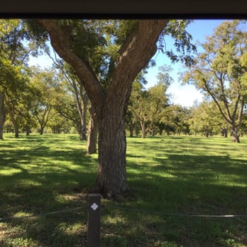 BERRY SPRINGS PARK AND PRESERVE - Updated March 2025 - 87 Photos & 19 ...