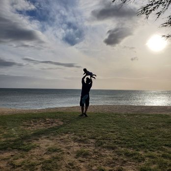 ZABLAN - Updated January 2026 - 39 Photos & 14 Reviews - 89-49 Laumania ...