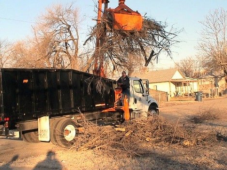 TREE SERVICE CALGARY - Updated December 2025 - 25 Photos - 538 ...