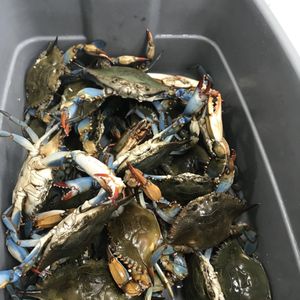 DEWY DEW BUGZ - Updated December 2025 - 40 Photos & 59 Reviews - 9419 ...