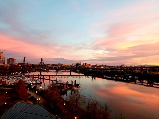 RIVERPLACE MARINA - Updated December 2024 - 198 Photos & 18 Reviews ...