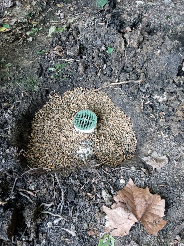 CHARLIE & FM TREE SERVICE & LANDSCAPING - Updated January 2026 - 161 ...