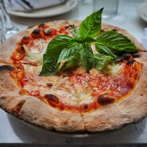 HABIBI MIAMI - Updated January 2025 - 45 Photos & 16 Reviews - 452 NW N ...