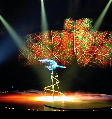 RIO RANCHO EVENTS CENTER - 54 Photos & 18 Reviews - 3001 Civic Center ...