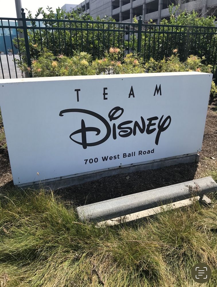 TEAM DISNEY - Updated January 2026 - 12 Reviews - 700 W Ball Rd ...