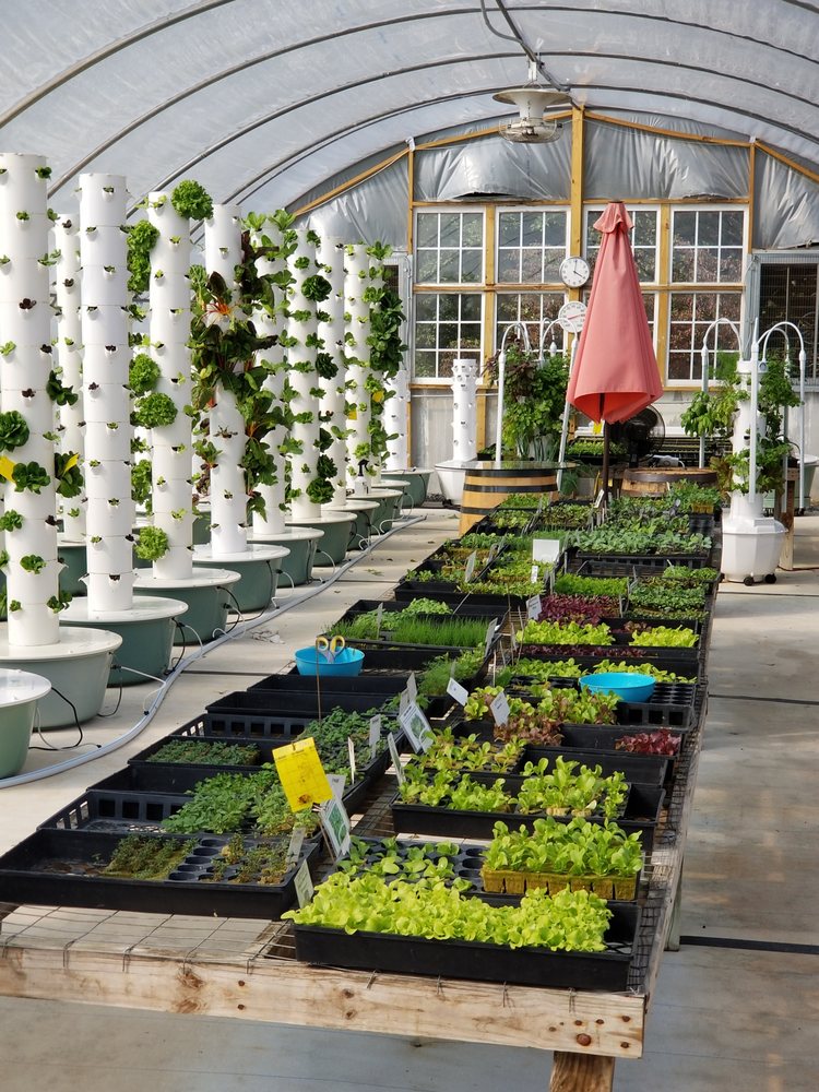 ATL URBAN FARMS - Updated August 2025 - 10 Photos - 420 Foster Coltrane ...