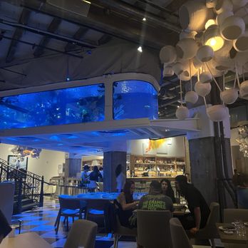 MRS FISH - Updated July 2024 - 4720 Photos & 1787 Reviews - 448 South ...