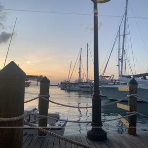 HALF SHELL RAW BAR - 1037 Photos & 839 Reviews - Seafood - 231 Margaret ...